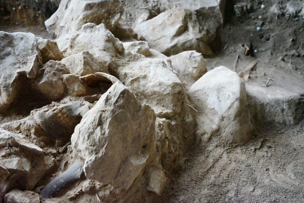 2 Fosil manusia purba berusia 3000 Tahun ditemukan di Takengon - Kanal Aceh